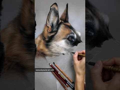 DOG DRAWING #dog #drawing #art #skyzune #artwork #fineart #pet #artist #painting #pastel
