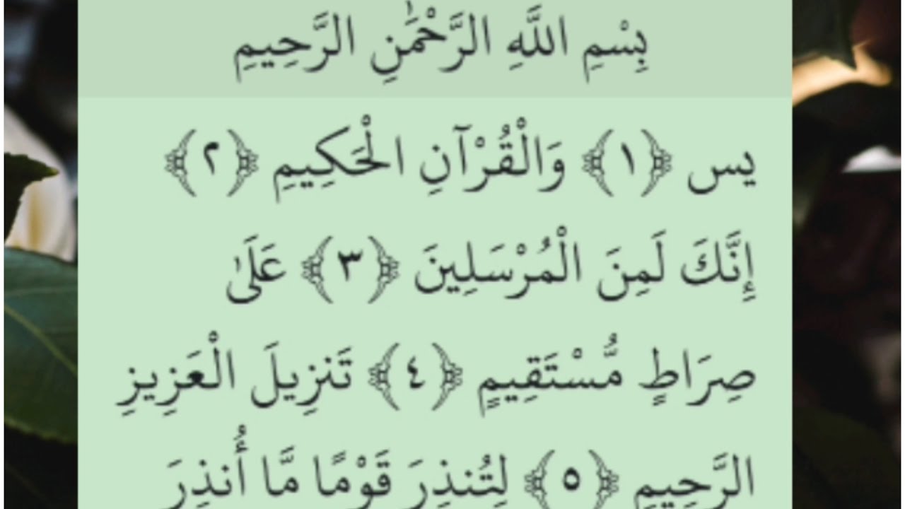 surah Yasin Yaseen sheikh abu bakr shatri Holy QURAN