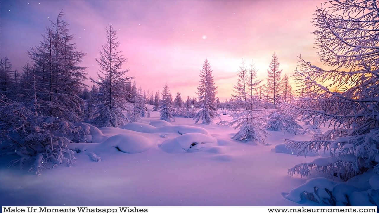 Best Happy New Year Greetings 2024 / Ecards / WhatsApp Status