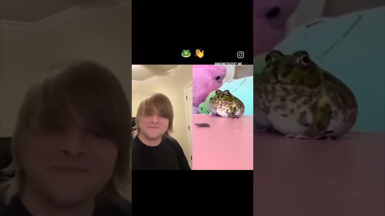 *Frog waves* (Meme)