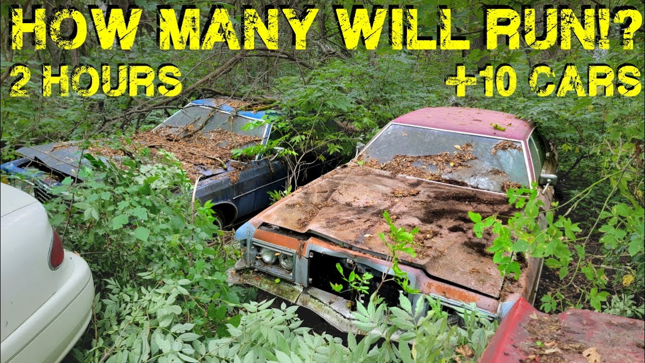Quest to Revive 10+ Cars in 2 Hours in an Abandoned Farm Full of Cars ...