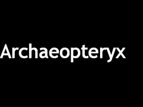 How to Pronounce Archaeopteryx