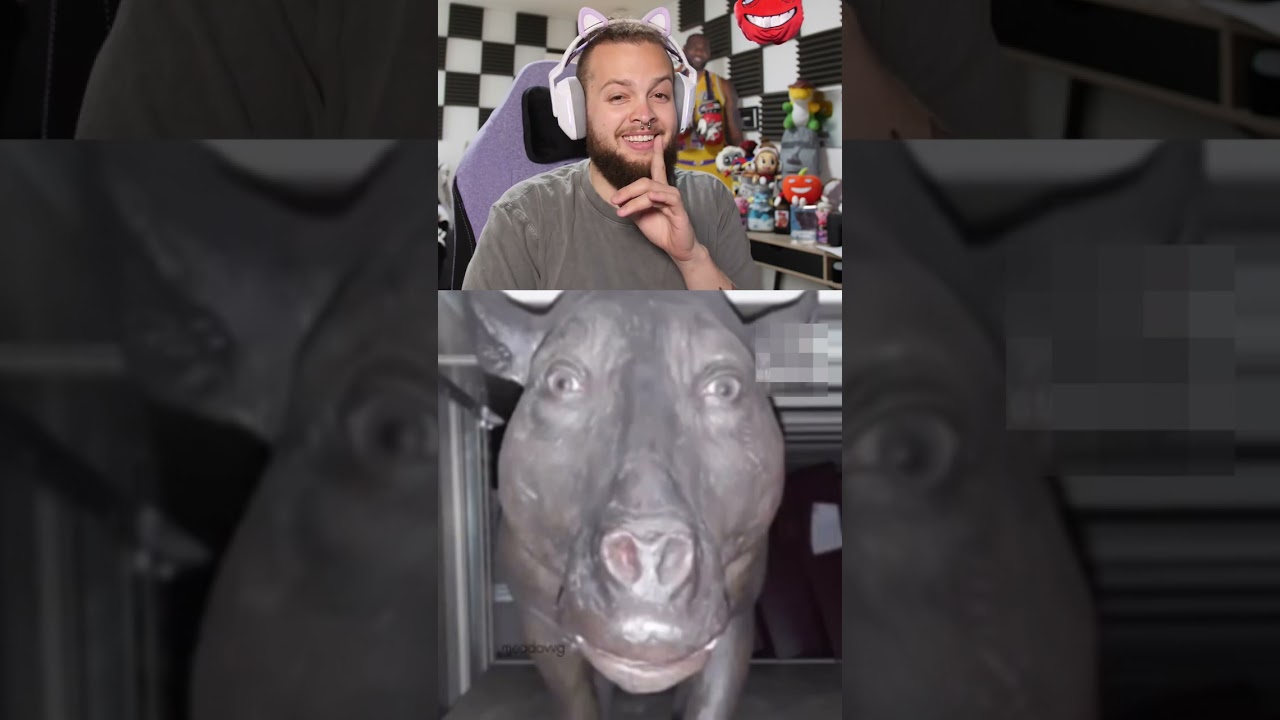 This Subreddit is WILD