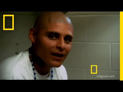 Prison Break | National Geographic