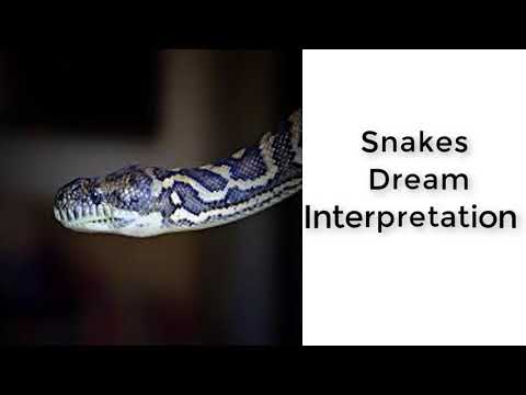 What is the meaning of snakes in a dream | Dreams Meaning and Interpretation
