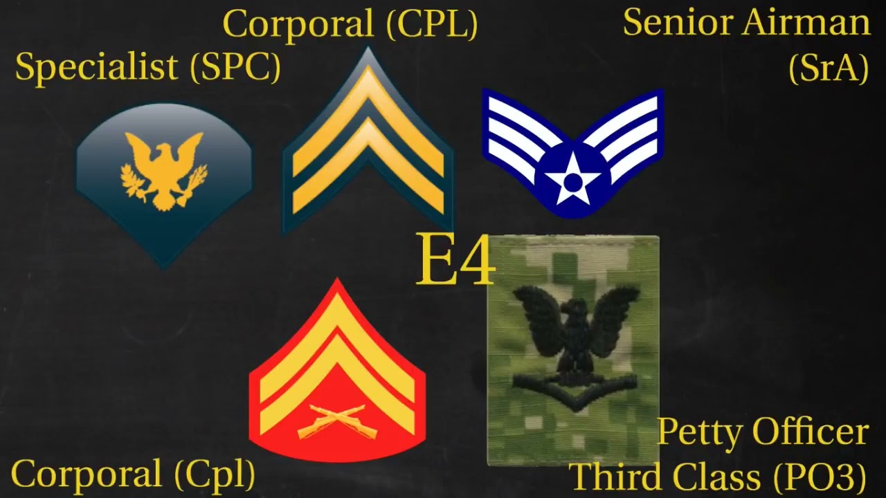 US Military (All Branches) ENLISTED Ranks Explained