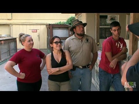 Worst Job in the Swamp | Gator Boys