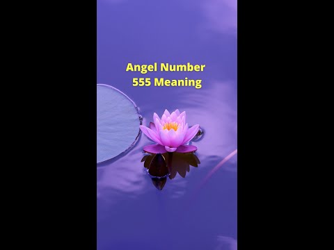 Angel Number 555 Meaning - #shorts