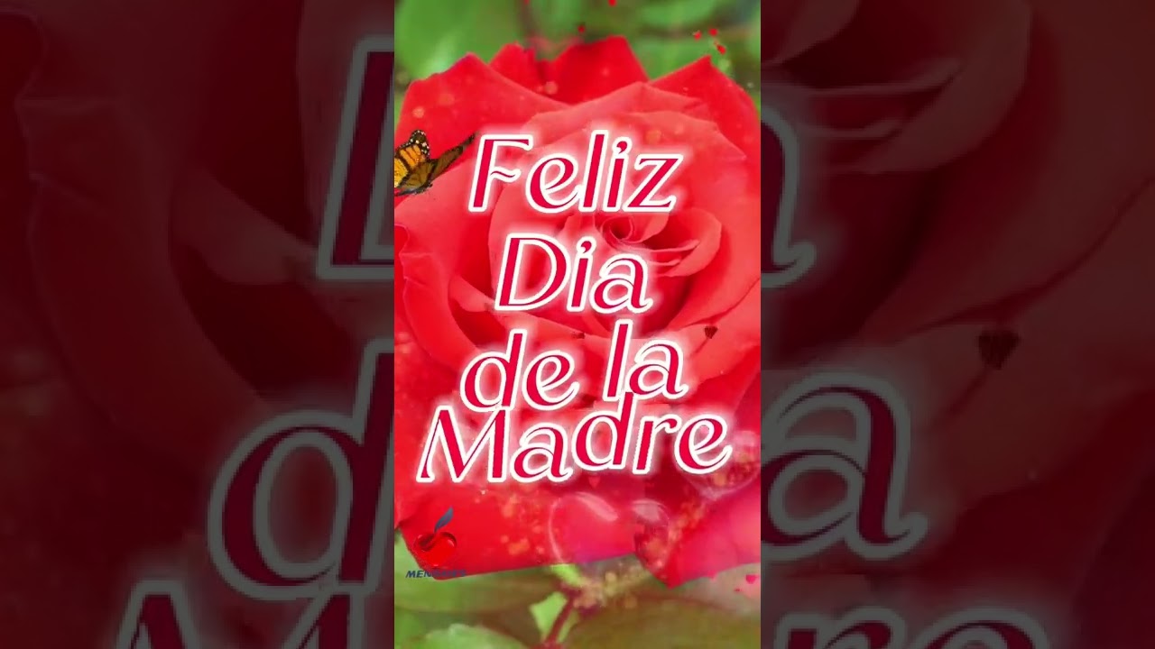 Feliz día de la Madre 🌹