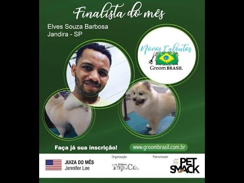 Como cortar unhas de gatos em casa