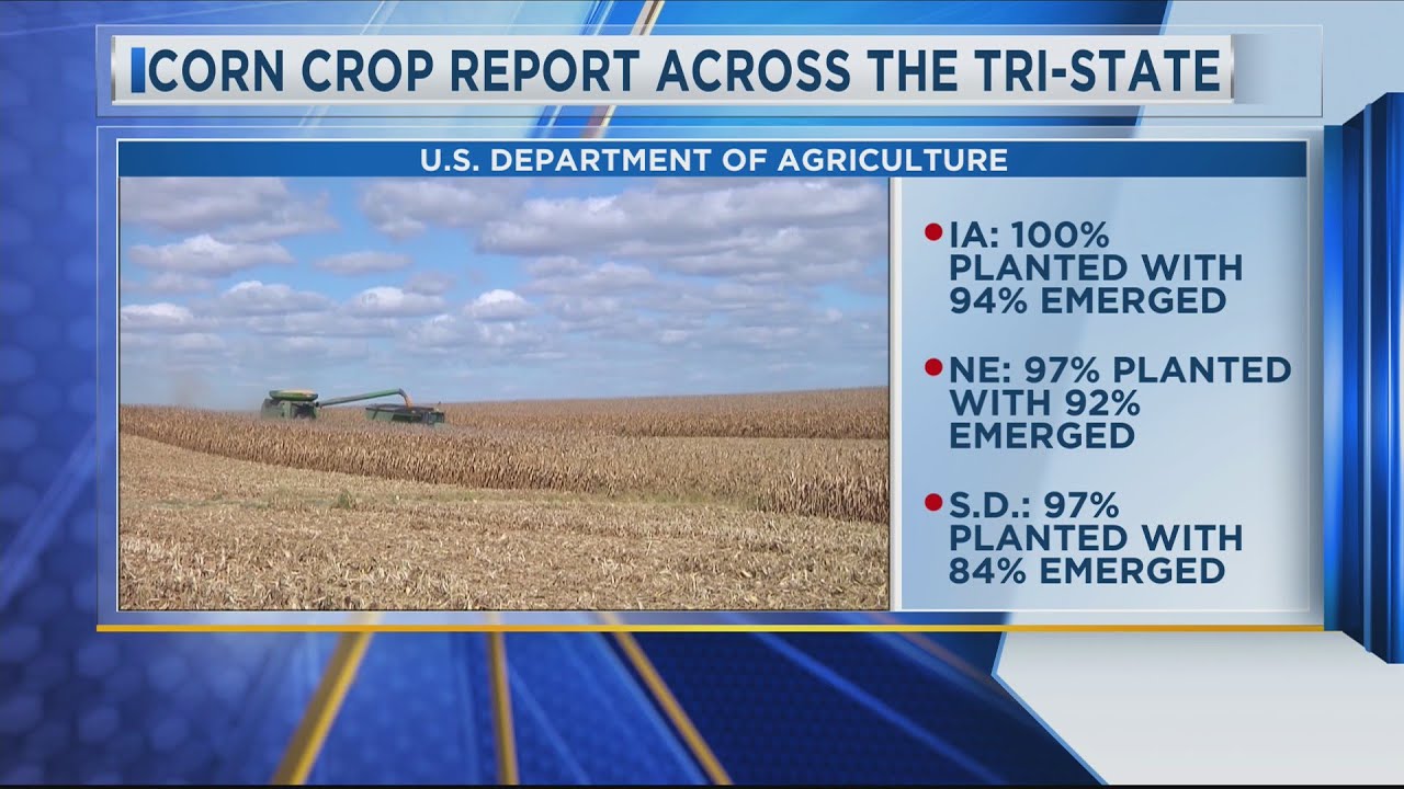 Crop Report Across The Tri-State