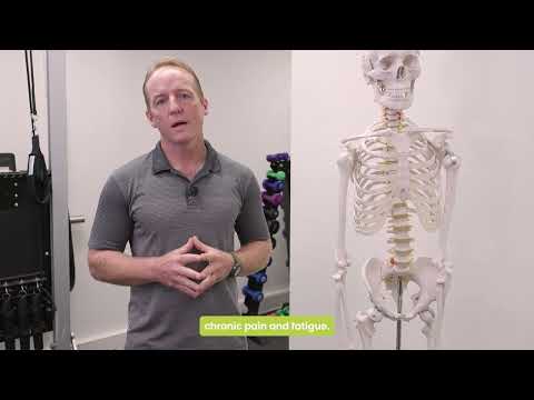 The importance of ergonomics in the workplace