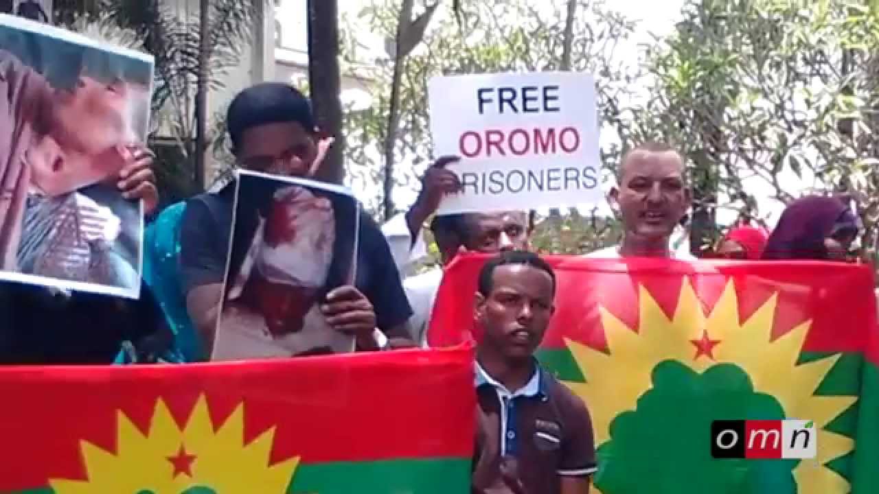 OMN: Oduu Sadaasa 16, 2014