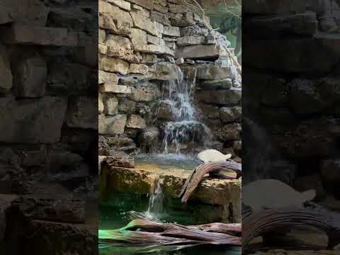 Waterfall | Bass Pro Shops | Springfield Missouri