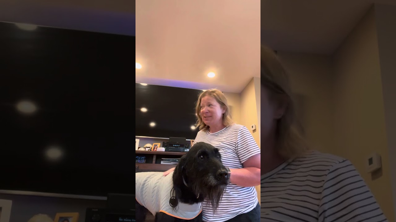 #ad ThunderShirt for Dogs with Anxiety