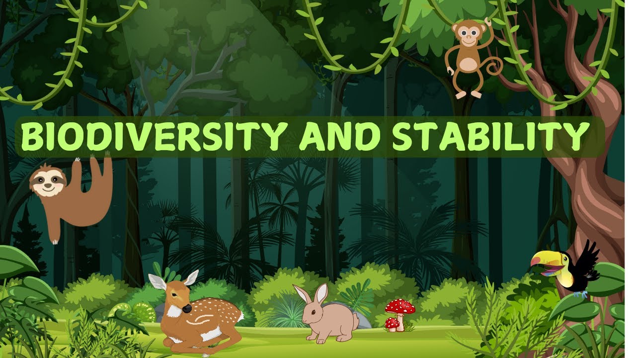 Biodiversity and Stability | Biology Animation