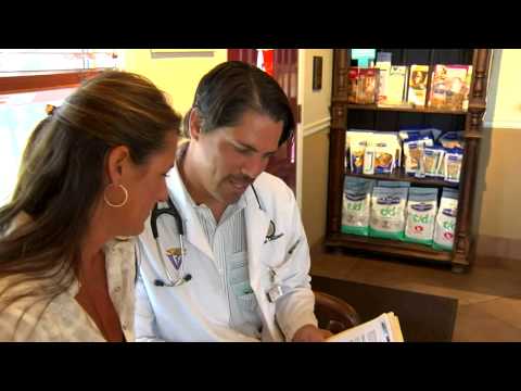 Inflammatory Bowel/IBD In Dogs and Cats