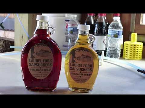Join West Virginia's Growing Maple Syrup Industry!