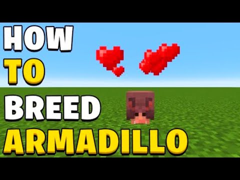 How To Breed Armadillo In Minecraft