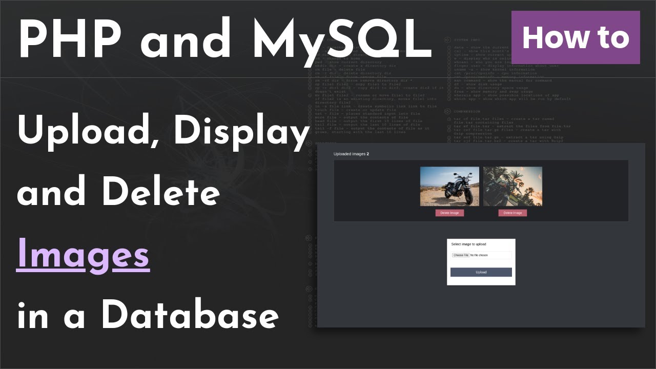 How to Upload, Display, and Delete Images in a Database Using PHP and MySQL