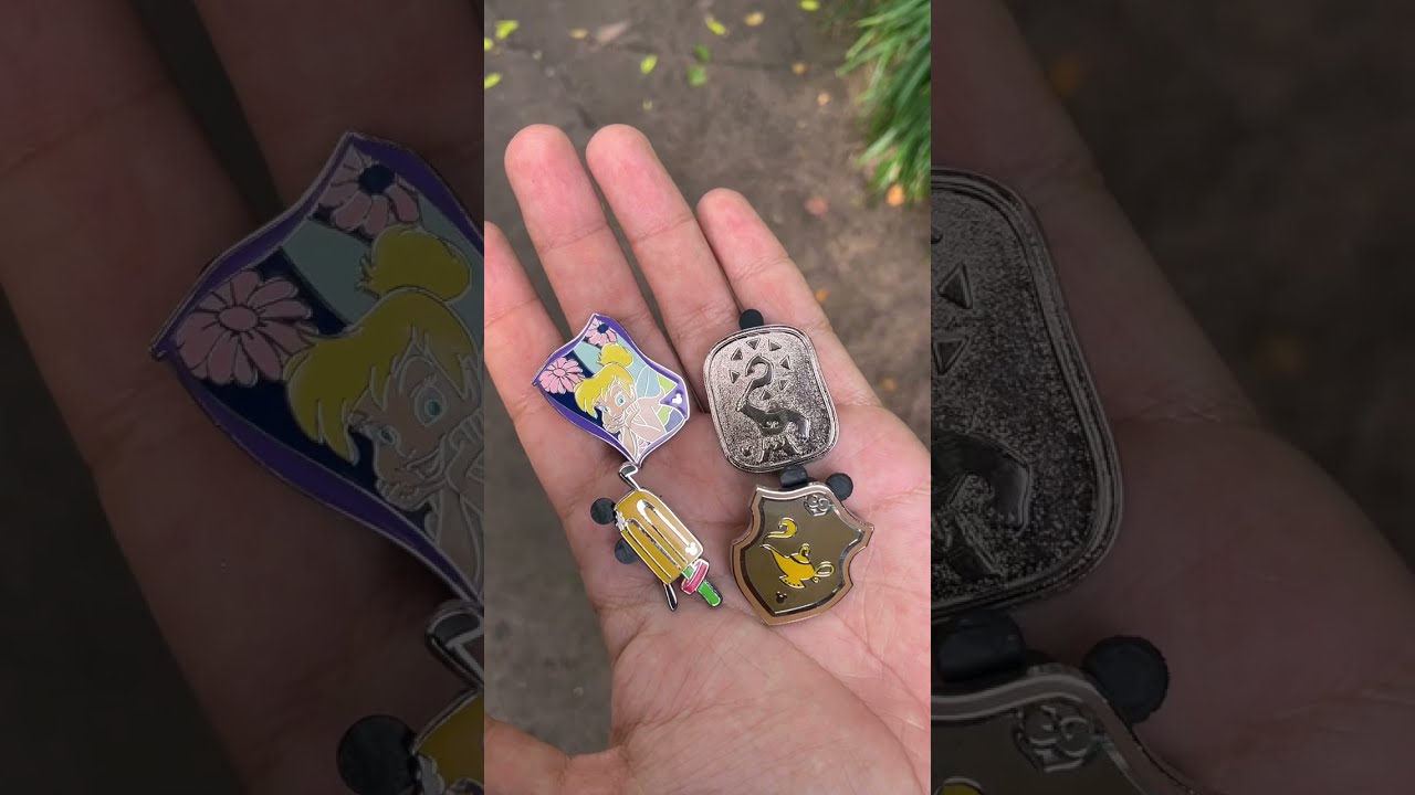 Pin trading in Animal Kingdom! | all the boards in the park