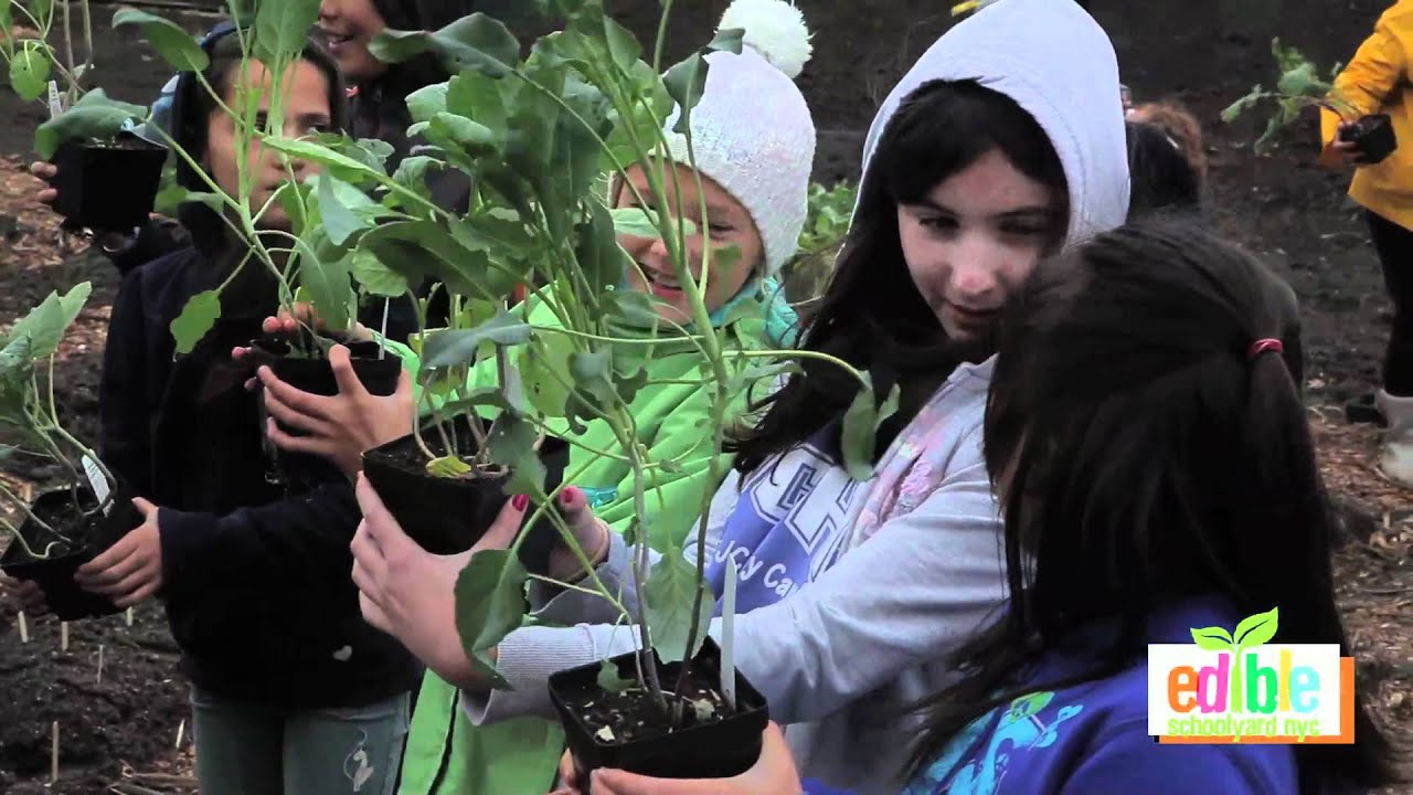 Join the Edible Schoolyard Project