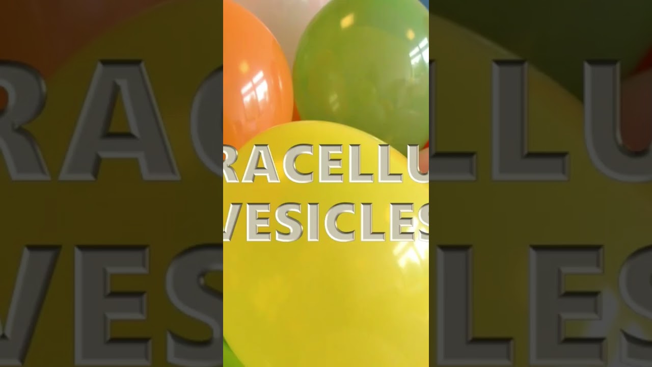 EXTRACELLULAR VESICLES(Exosomes, Micro vesicles, , Autophagosomes), APROMISING IMMUNOTHERAPY#shorts