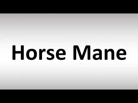 How to Pronounce Horse Mane