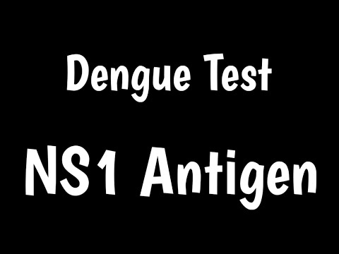 DENGUE NS1 ANTIGEN Test | How To Read Dengue Test Report |