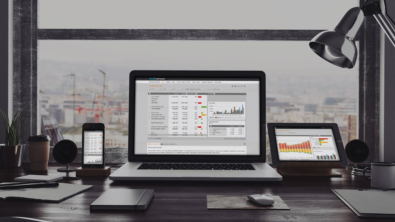 Financial Reporting Made Easy - CXO-Software