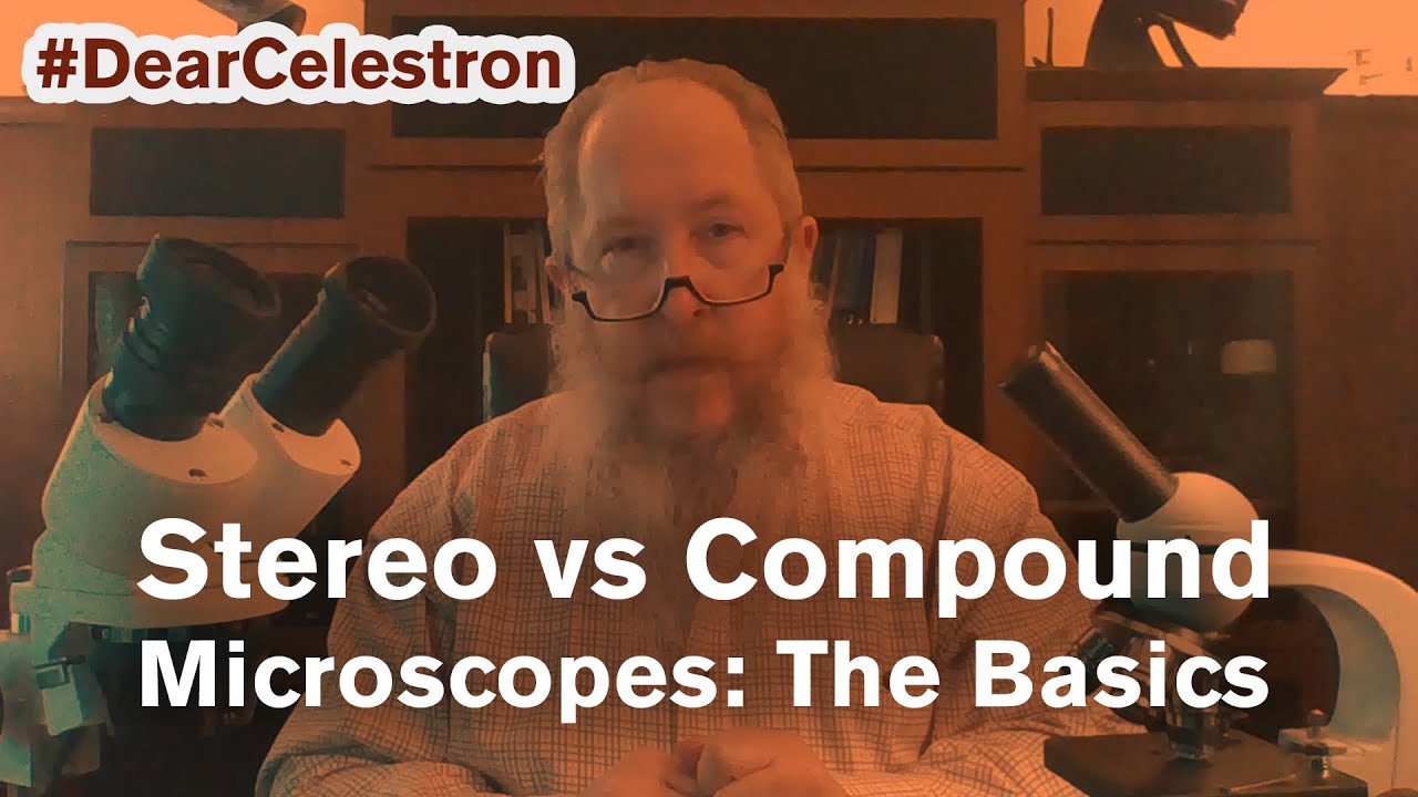 Stereo Versus Compound Microscopes: The Basics