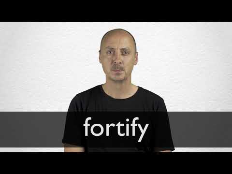 Hindi Translation of “FORTIFY” | Collins English-Hindi Dictionary