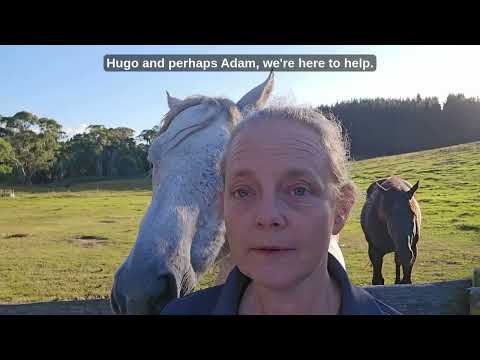 Challenges being faced in equestrian sport and being a part of the ISES Council
