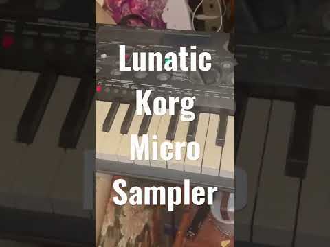 Lunatic Korg MIcro Sampler