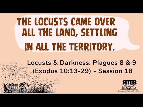 Locusts & Darkness: Plagues 8 & 9 (Exodus 10:13-29) - Session 18