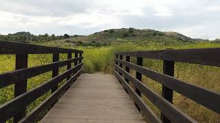 3 Best Hiking Trails in Irvine, CA - Expert Recommendations