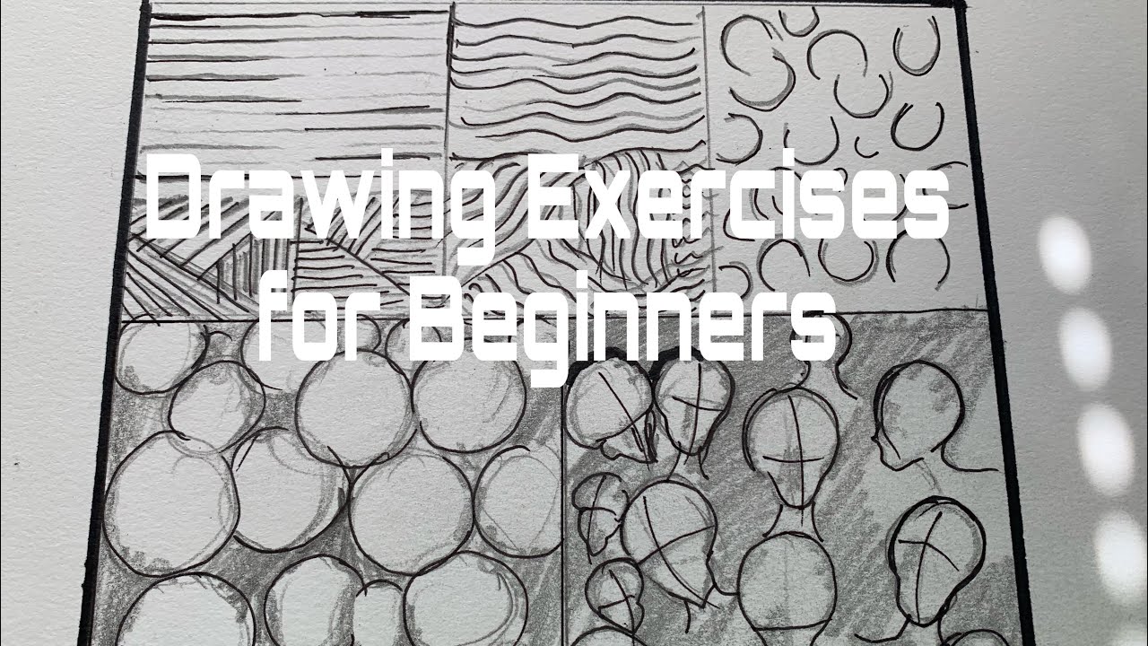 Drawing exercises for beginners