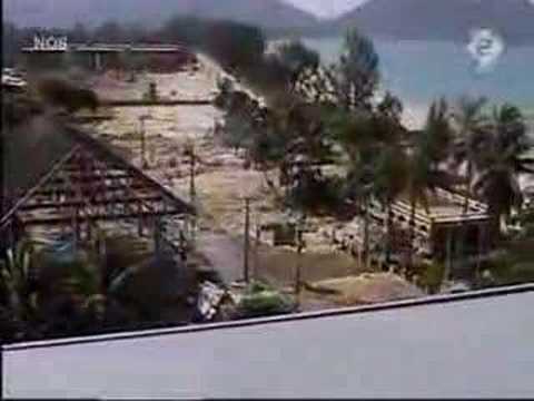The 2004 Tsunami