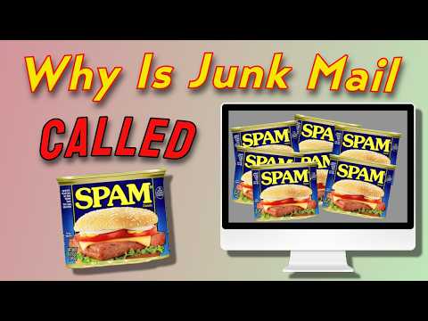 The Origin of the Term "Spam"
