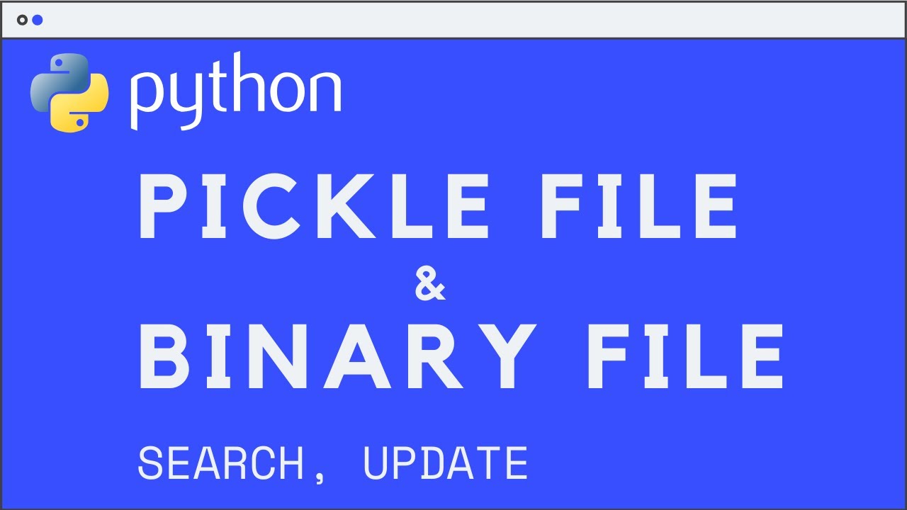 Search and Update in Python Binary Files