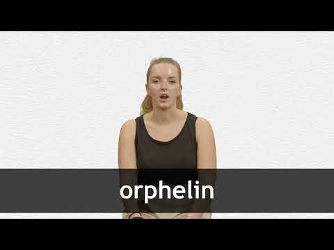 English Translation of “ORPHELIN” | Collins French-English Dictionary