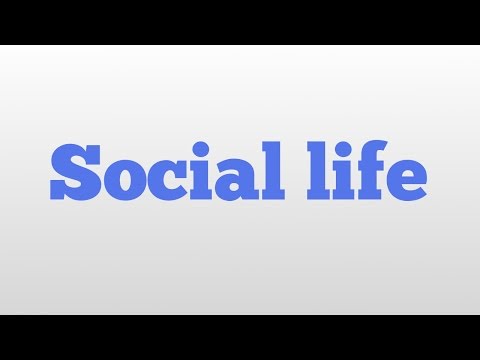 Social life meaning and pronunciation