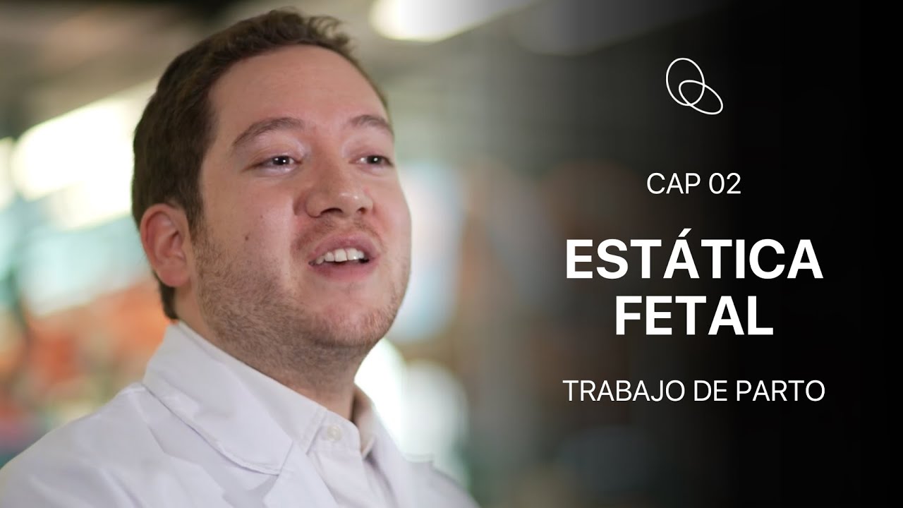 Cap. 02 | Estática Fetal | TRABAJO DE PARTO