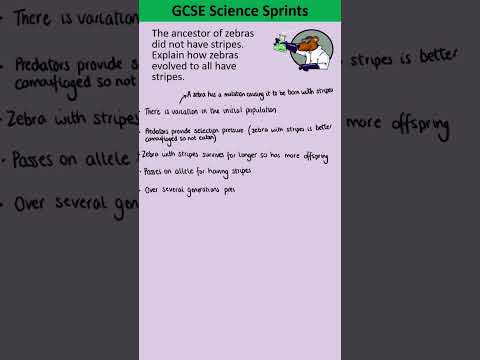 GCSE Science Sprints 40 - Natural Selection #gcsebiology #revision #year11