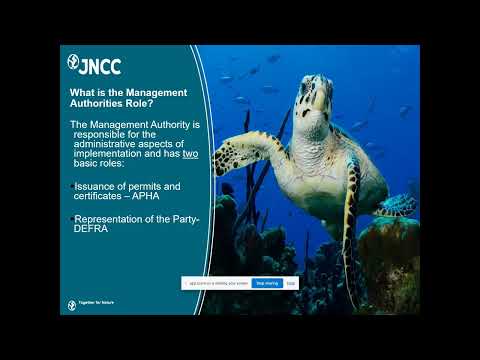 CITES and Wildlife and Countryside Act 1981 - animals
