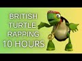 British Turtle Rapping Watch HD Mp4 Video Download Free