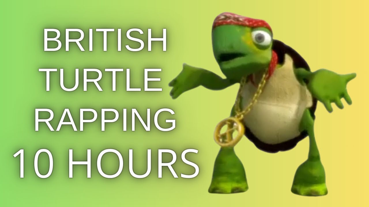 British Turtle Rapping 10 Hours
