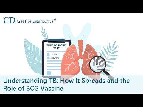Understanding TB How It Spreads and the Role of BCG Vaccine