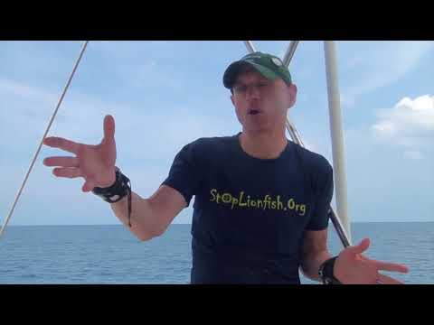 Lionfish Documentary - StopLionfish.Org by Mike Marco/eConsulting Group, Inc.