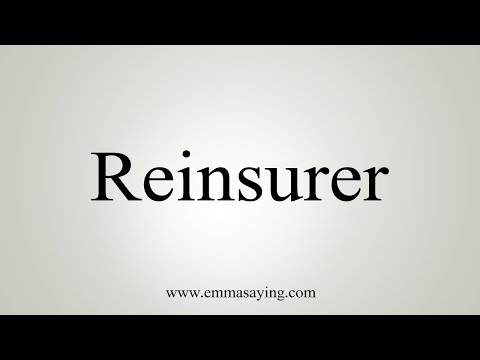 How To Say Reinsurer